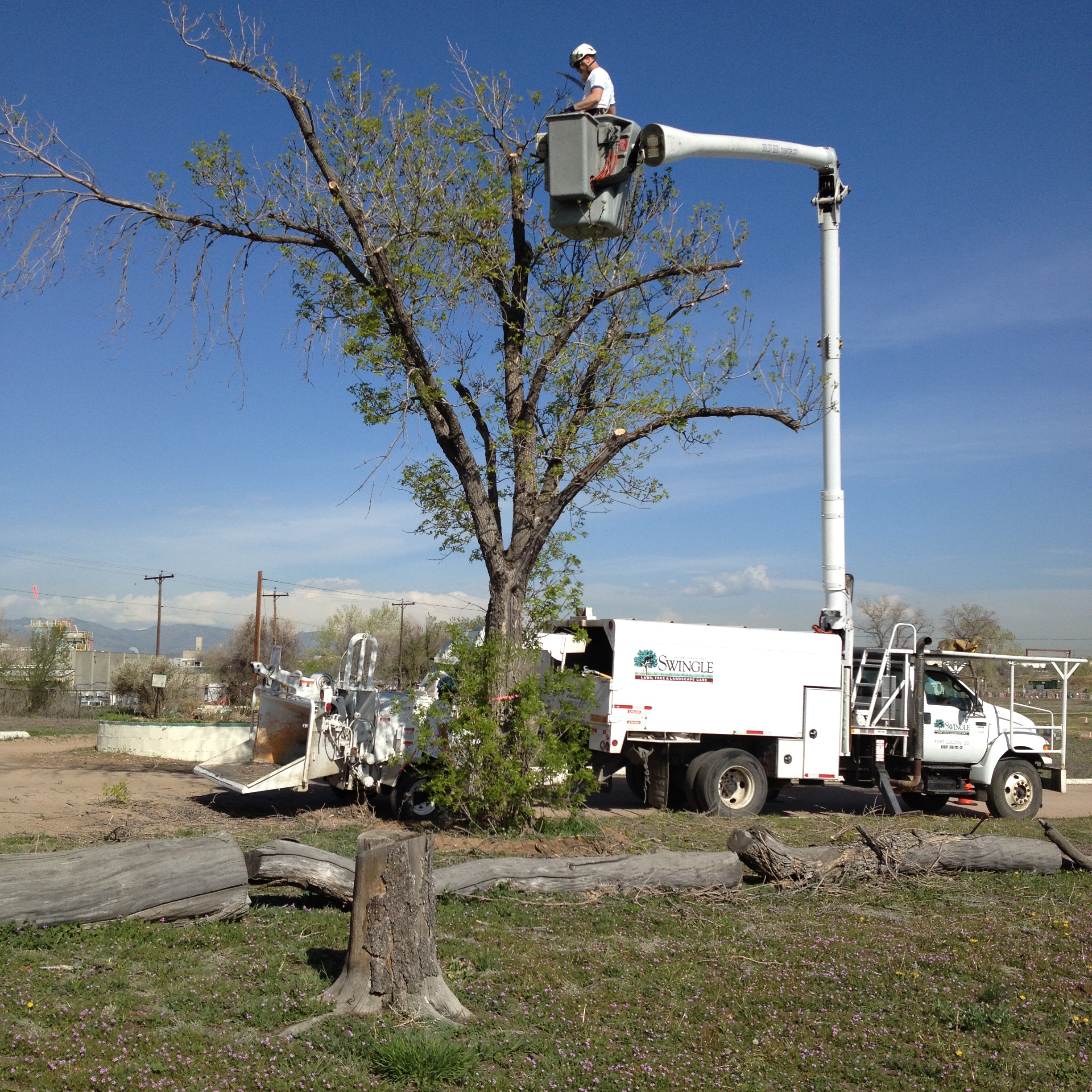 Day of Service 2015 - Colorado Arborists and Lawn Care Professionals